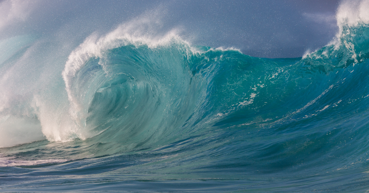 Simulacro de tsunami en Chipiona - Noticias y actualidad meteorológica