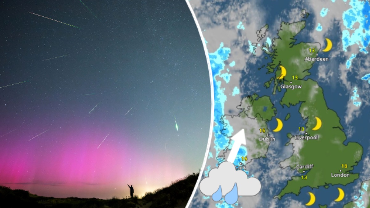 Great visibility for most: Perseid meteor shower reaches its peak ...