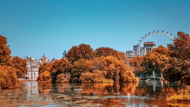 Why do leaves change color in autumn? – Weather News