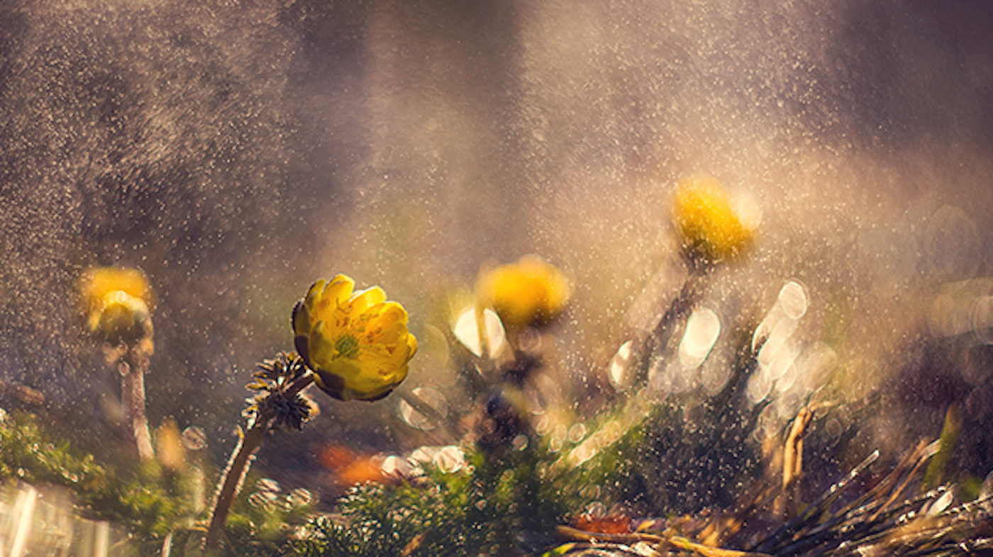 What is drizzle? – Weather News