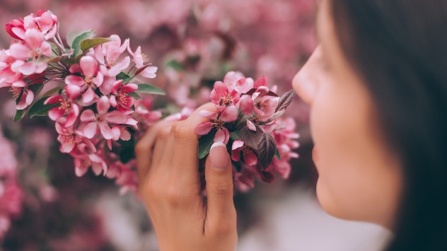 Seasonal senses: Can you smell better in spring? – Weather News