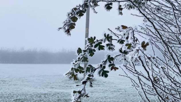 Frysende tåge klæder landskab i rimfrost - Smuk engelsk natur - Vejrnyheder