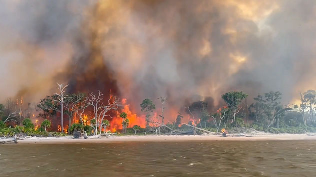 Georgia wildfire ignited by lightning – Weather News