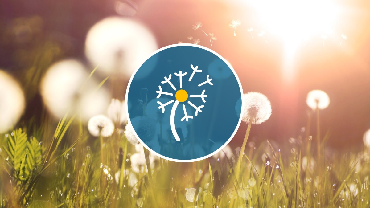 Tips on coping: Grass pollen season is almost here – Weather News