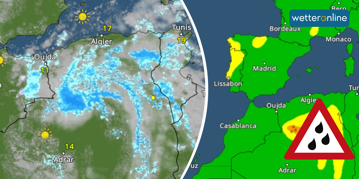 Rain in the desert – Algeria particularly affected – Weather News