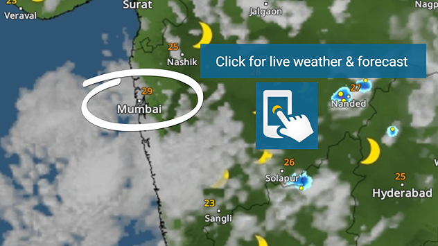 IPL Match Weather Forecast for Mumbai: Wankhede stadium pitch and ...