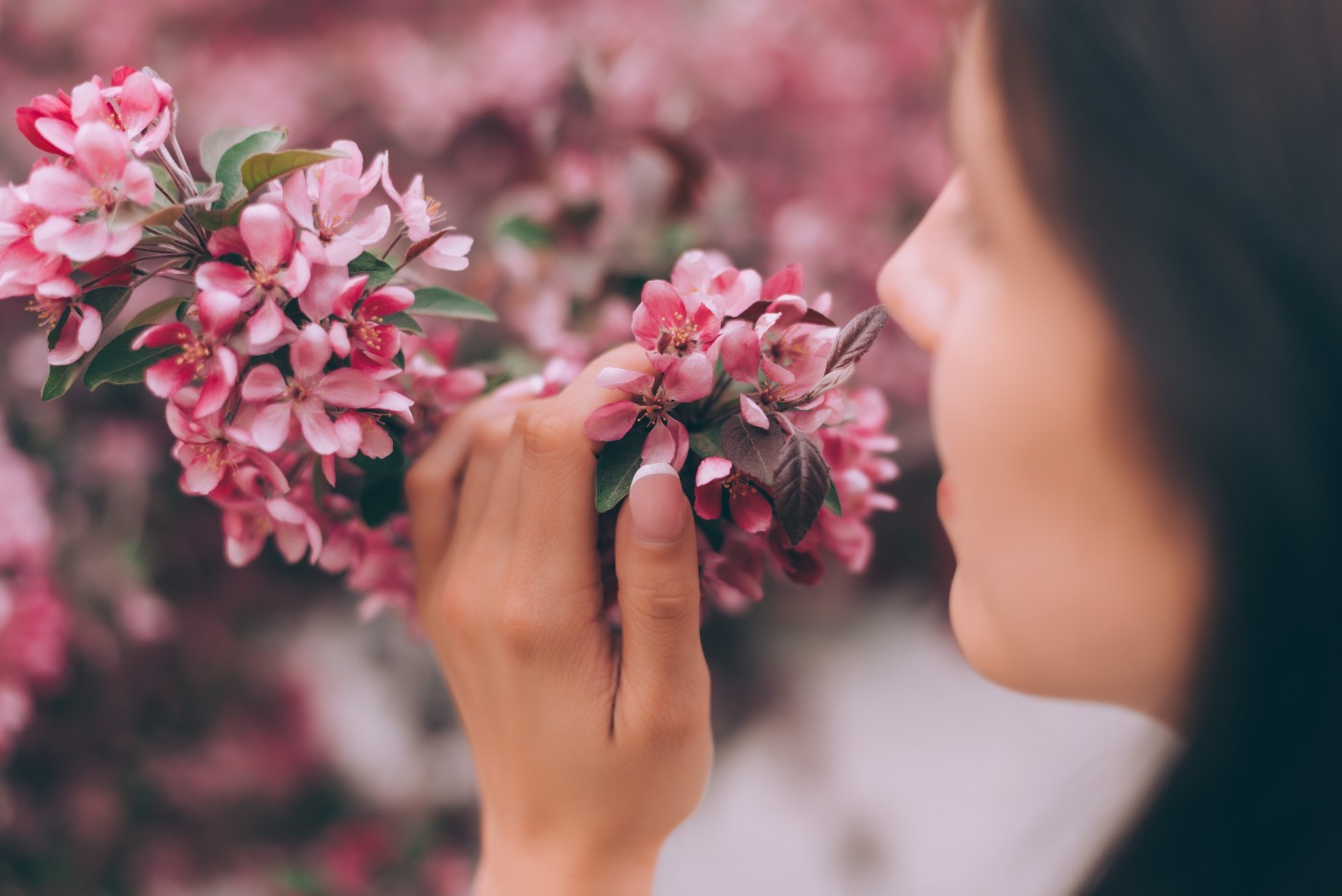 Can you smell better in spring? – Weather News