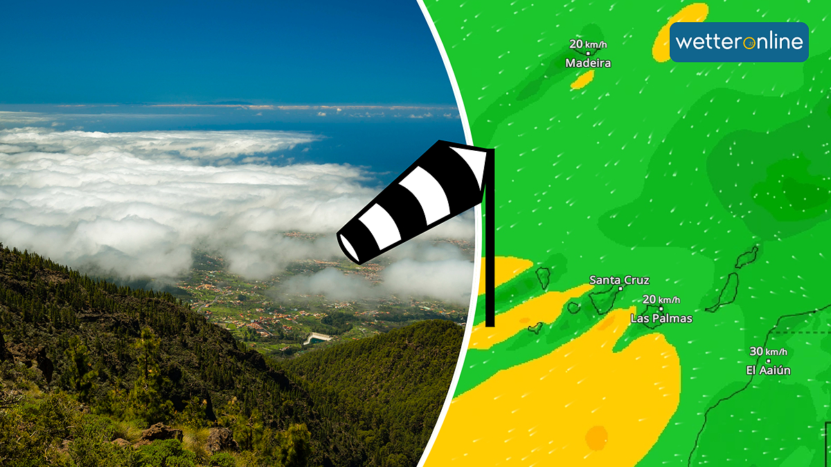 Lebhafter Nordostpassat - "Schönwetter"-Wind auf den Kanaren