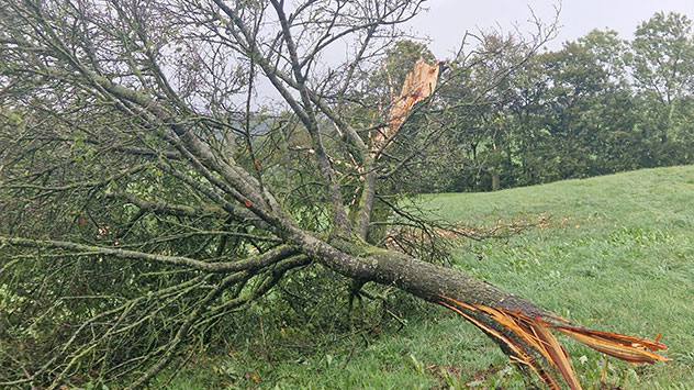 Tornado bei Unwetter in der Eifel: Etwa 15 Dächer abgedeckt