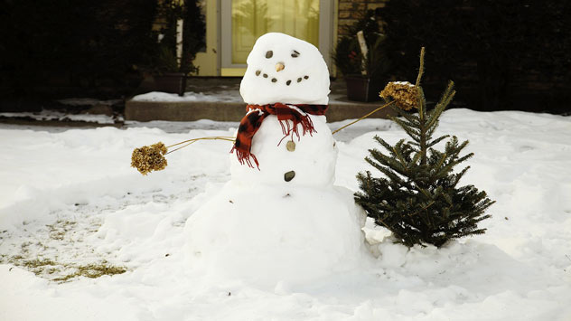 Snow day summoning rituals for when you want a day off – Weather News