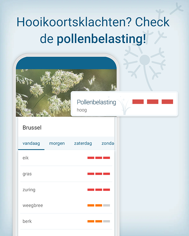 Els en hazelaar in bloei - Eerste pollen in de lucht