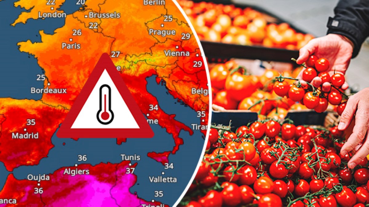European farms at risk: Fresh produce faces heatwave threat – Weather News