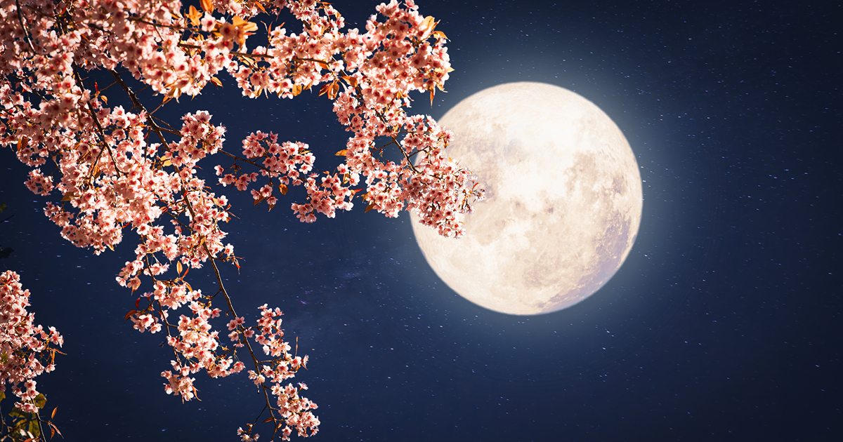 Ochii la cer: Luna roz, prima Lună plină de primăvară - Știri meteo