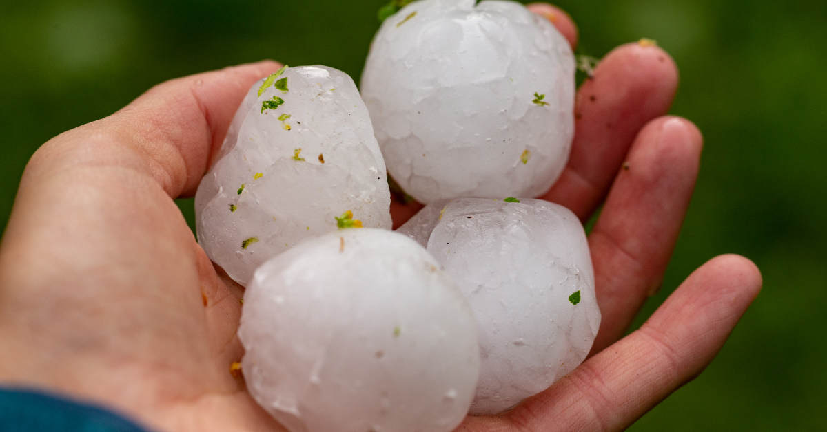 El mayor granizo de la historia - Noticias y actualidad meteorológica