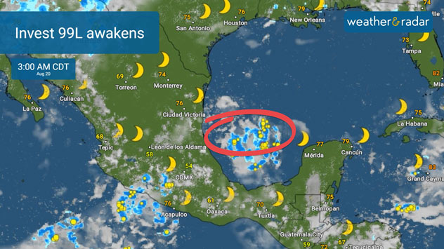 Tropical update: Gulf of Mexico system gains traction – Weather News