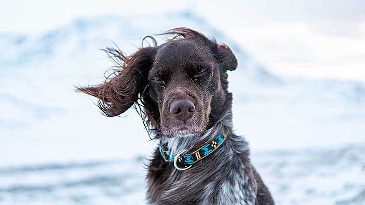 Why has it been so windy recently? – Weather News