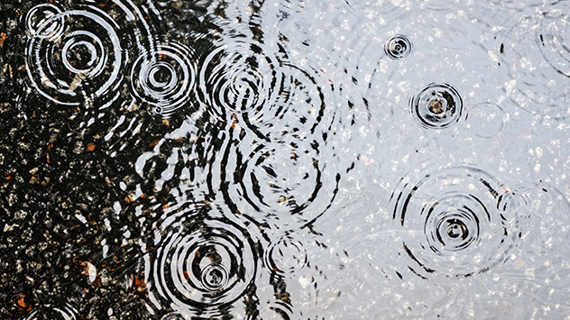 Types of rainfall: Frontal, orographic and convective – Weather News