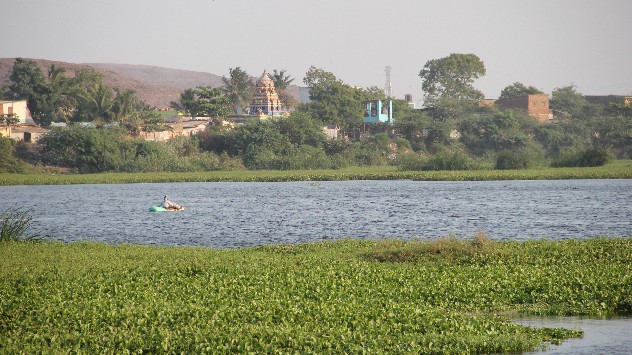 Not a Single Drop Wasted: Traditional Water Harvesting Technology ...