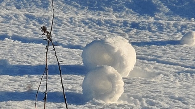 Rare sighting: Naturally rolled snow 'hay bales' – Weather News