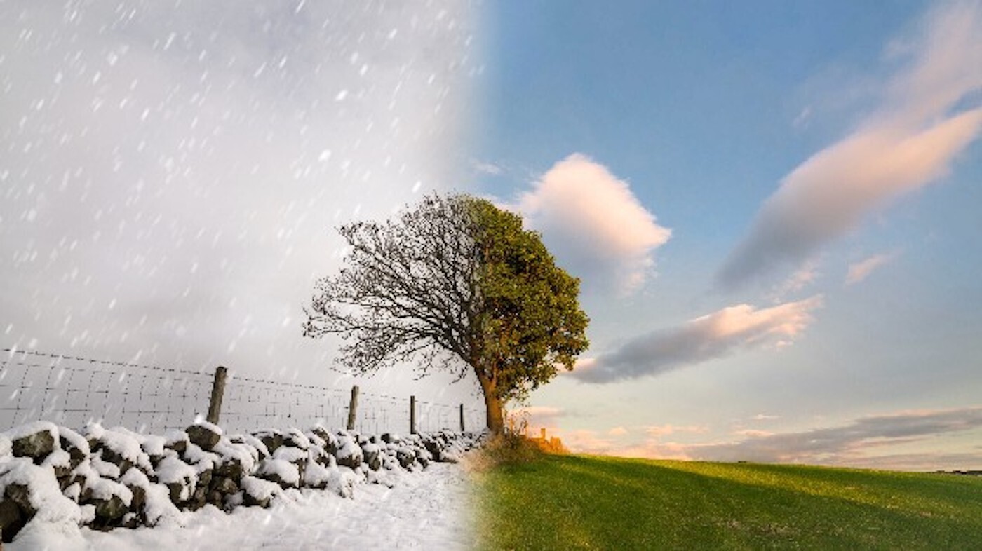 Astronomical spring: The spring equinox has passed – Weather News