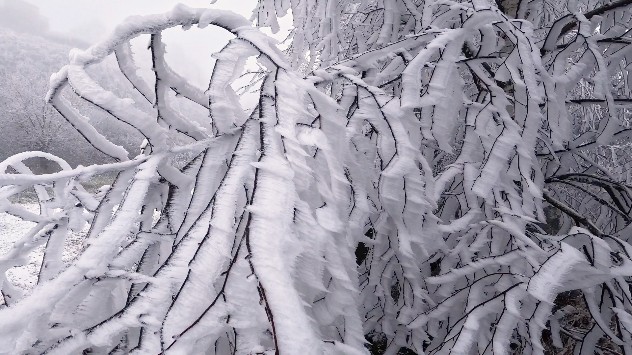 The science behind rime ice – Weather News