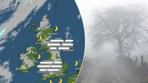How and why do we have fog? – Weather News
